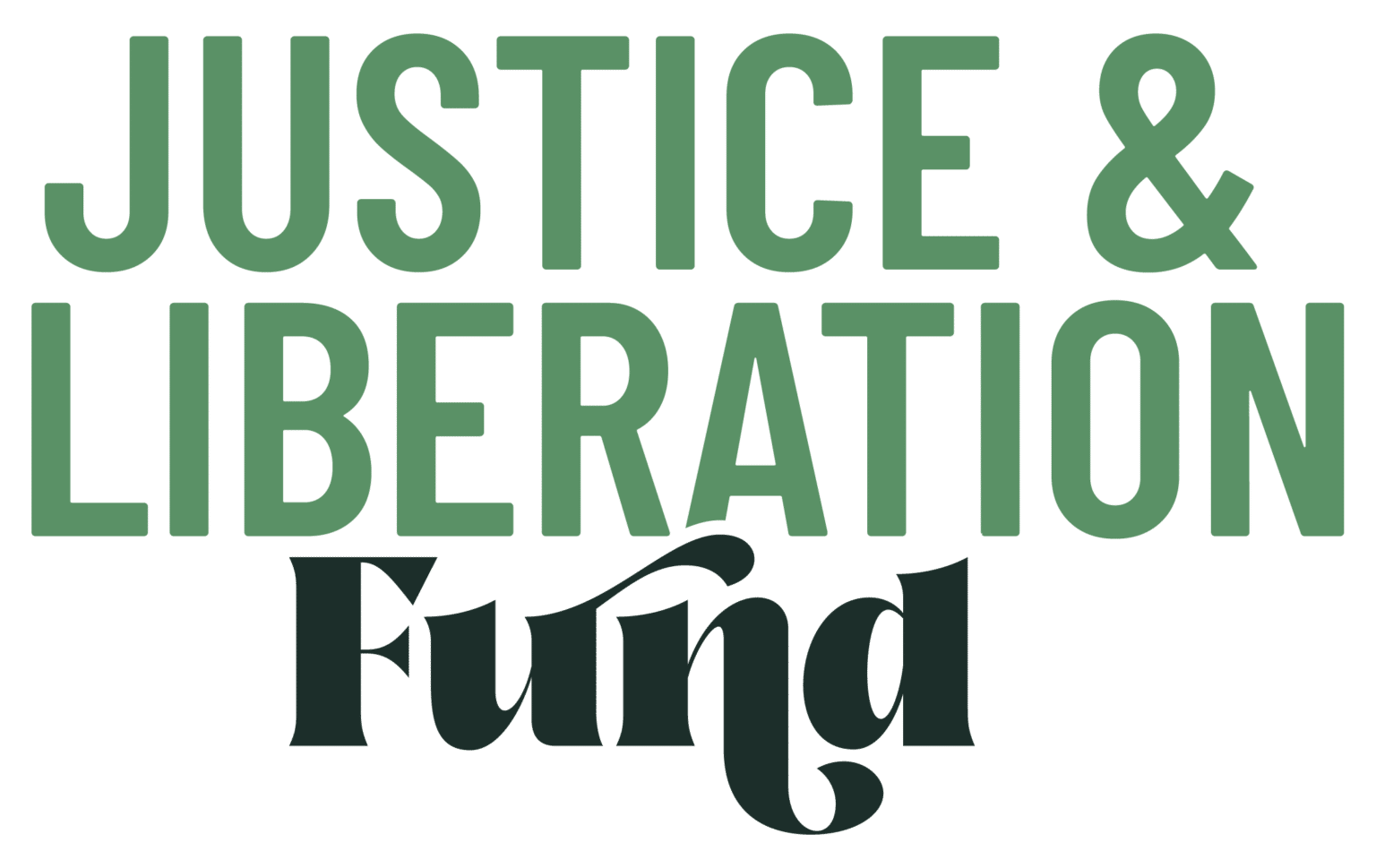 Apply for a Justice & Liberation Fund Grant | Headwaters Foundation for ...